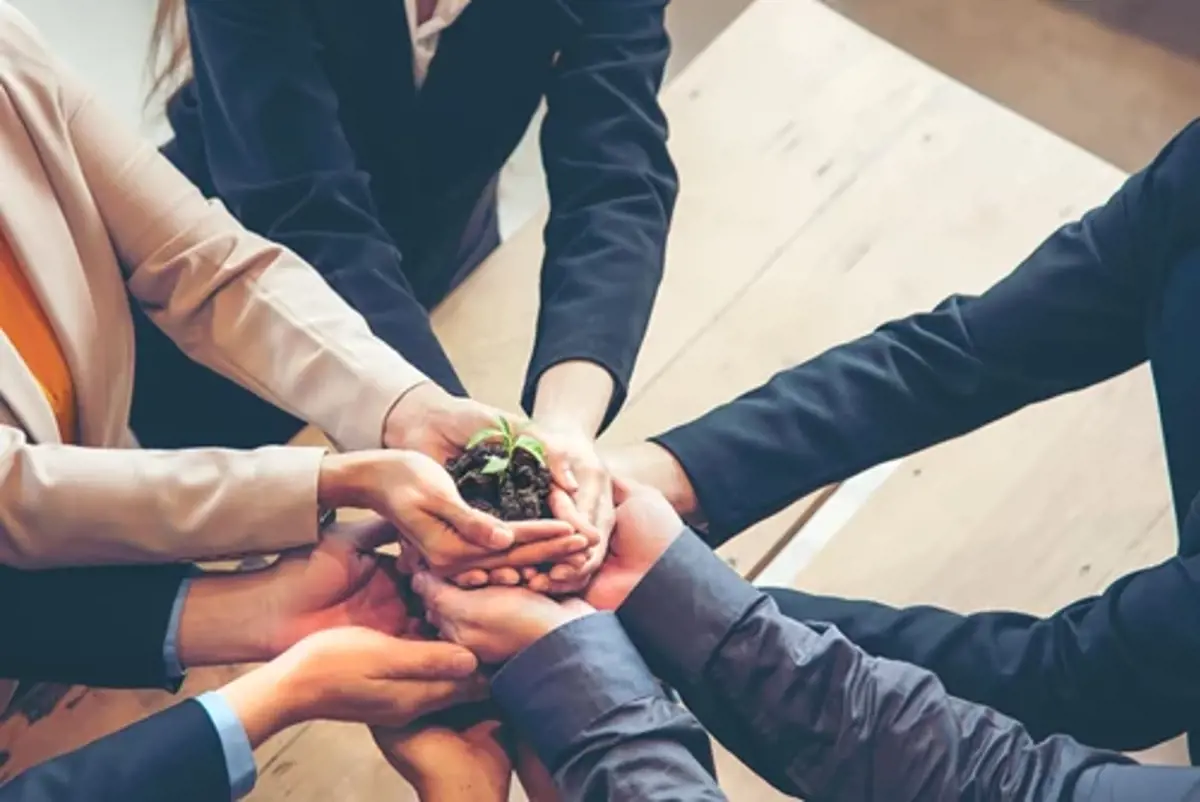 Help To Grow Scheme from UK Government | Dynamics Consultants